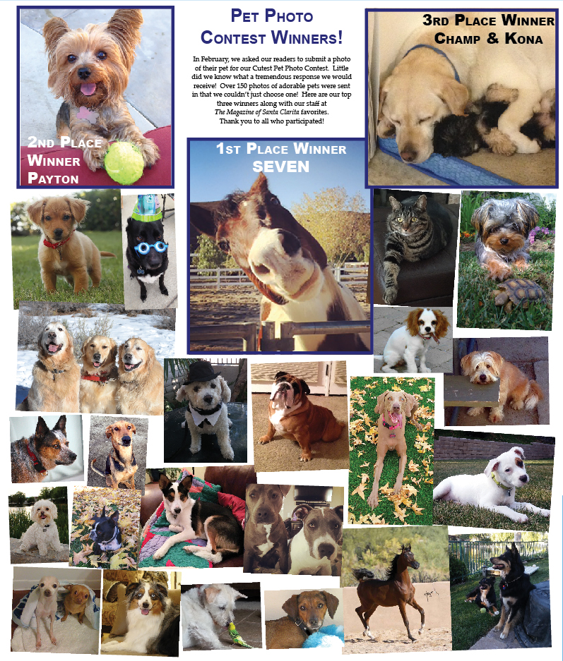 Pet Photo Contest Winners! - Santa Clarita Magazine